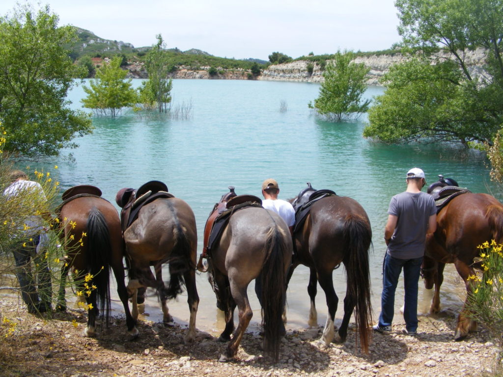 BALADES à CHEVAL au "FRAIS" - LE PETIT ROMAN
